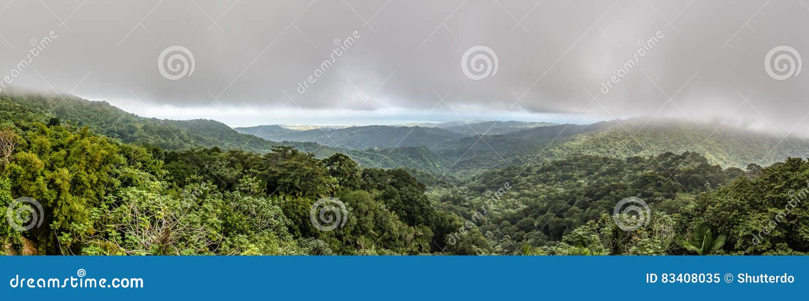 Panoramic View of the El Yunque Rainforest Stock Image - Image of ...
