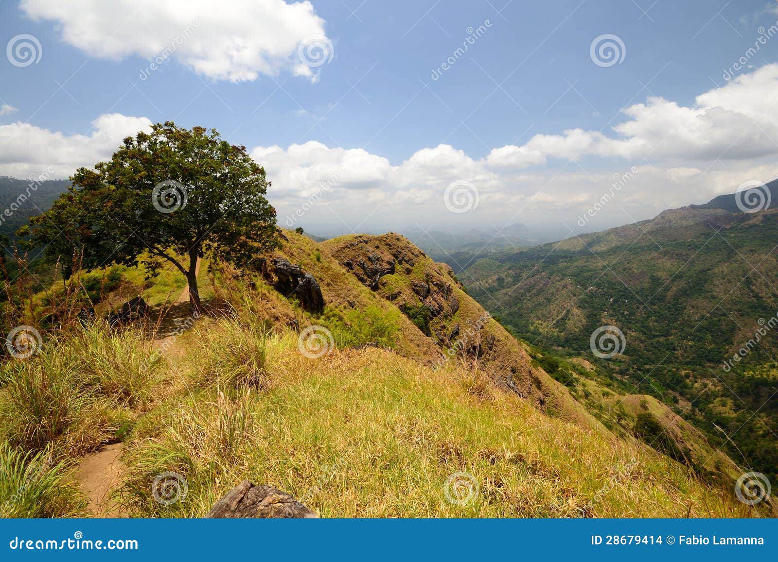 Panoramic View of Ella Rock, Sri Lanka Stock Photo - Image of plateau ...