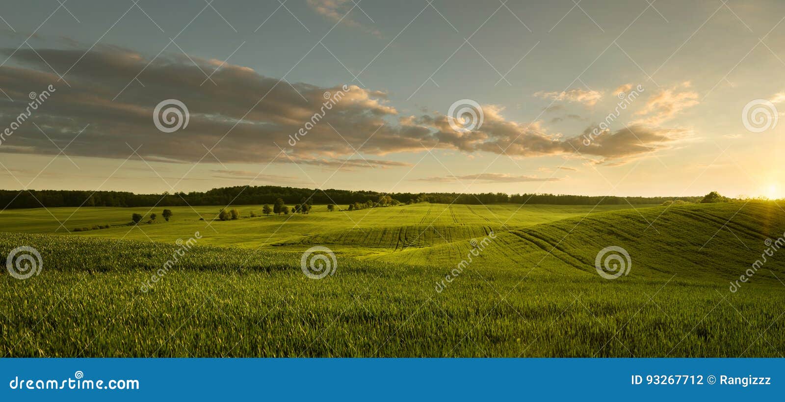 Panoramic View of Empty Grass Field Stock Photo - Image of grass ...