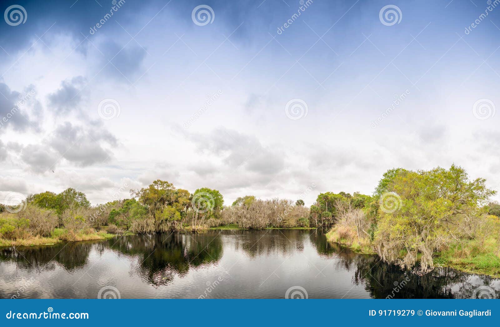 Panoramic View of Everglades Swamps, Florida Stock Image - Image of ...
