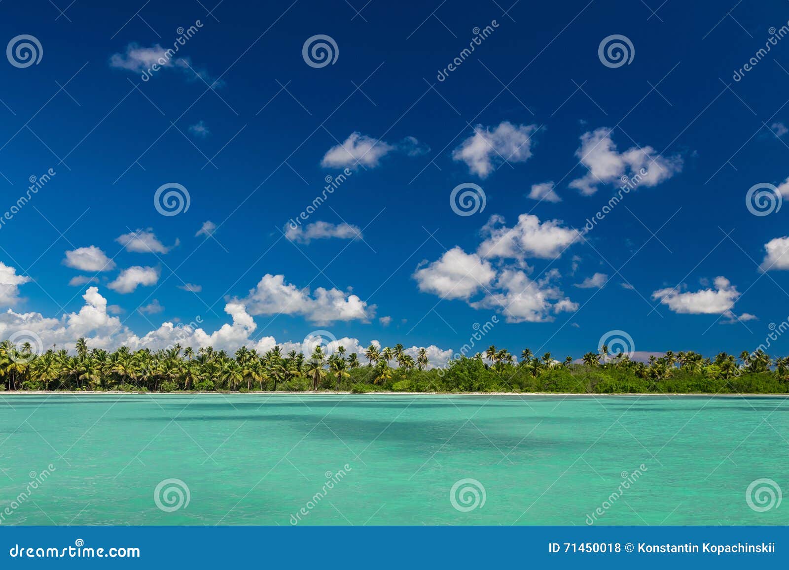 Panoramic View of Exotic Palm Trees and Lagoon on the Tropical Island ...