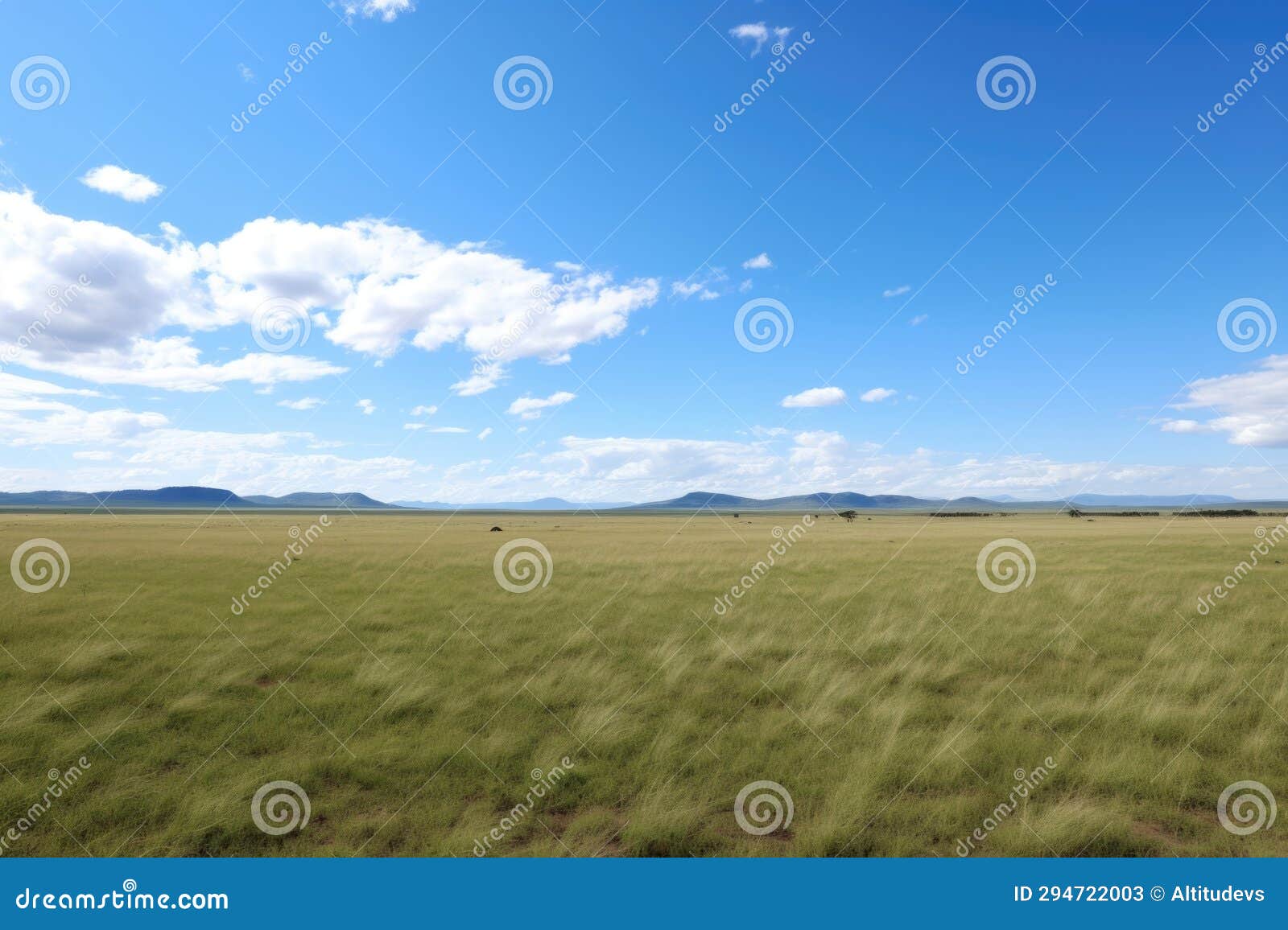 A Panoramic View of an Expansive, Open Grassland Stock Image - Image of ...