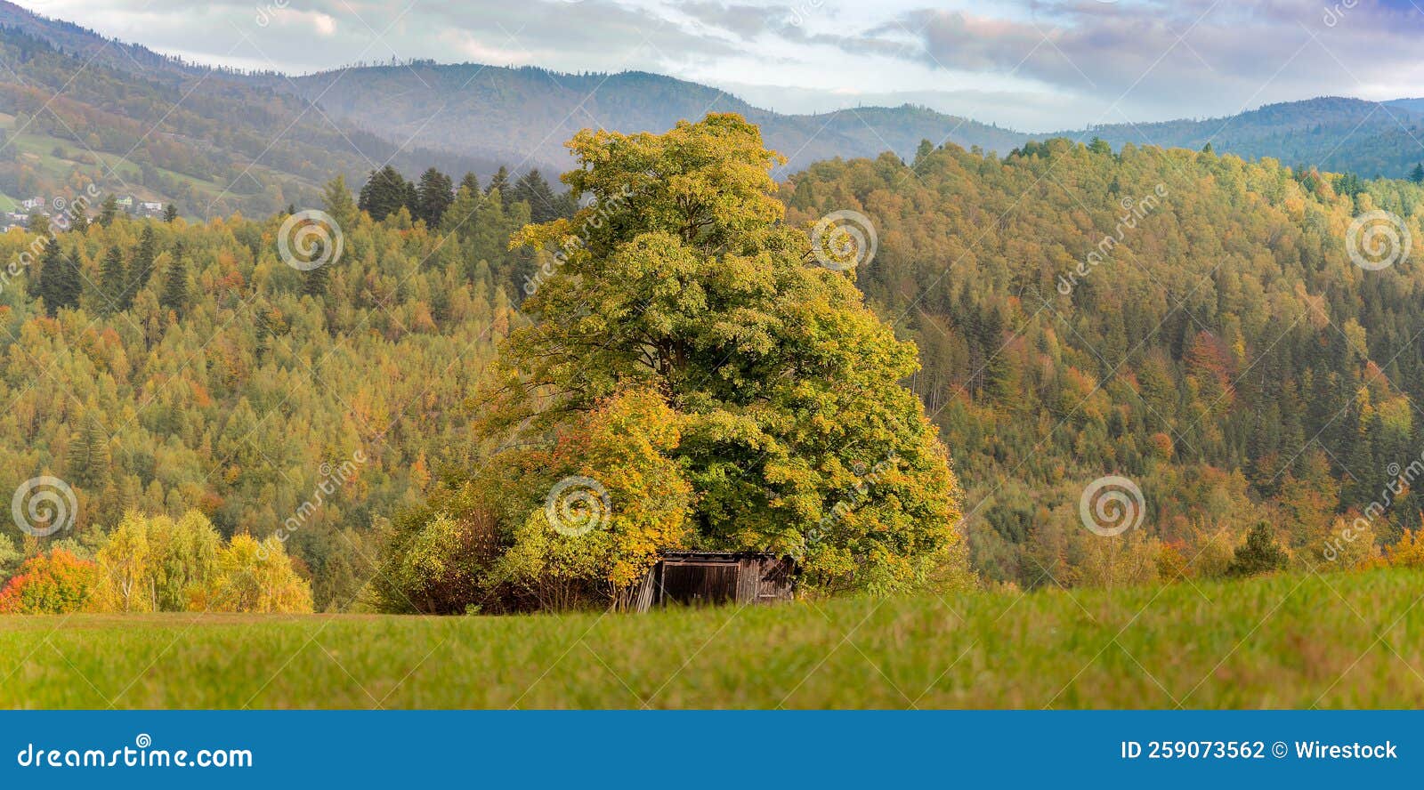 Panoramic View of Fall Mountains and Forests Stock Photo - Image of ...