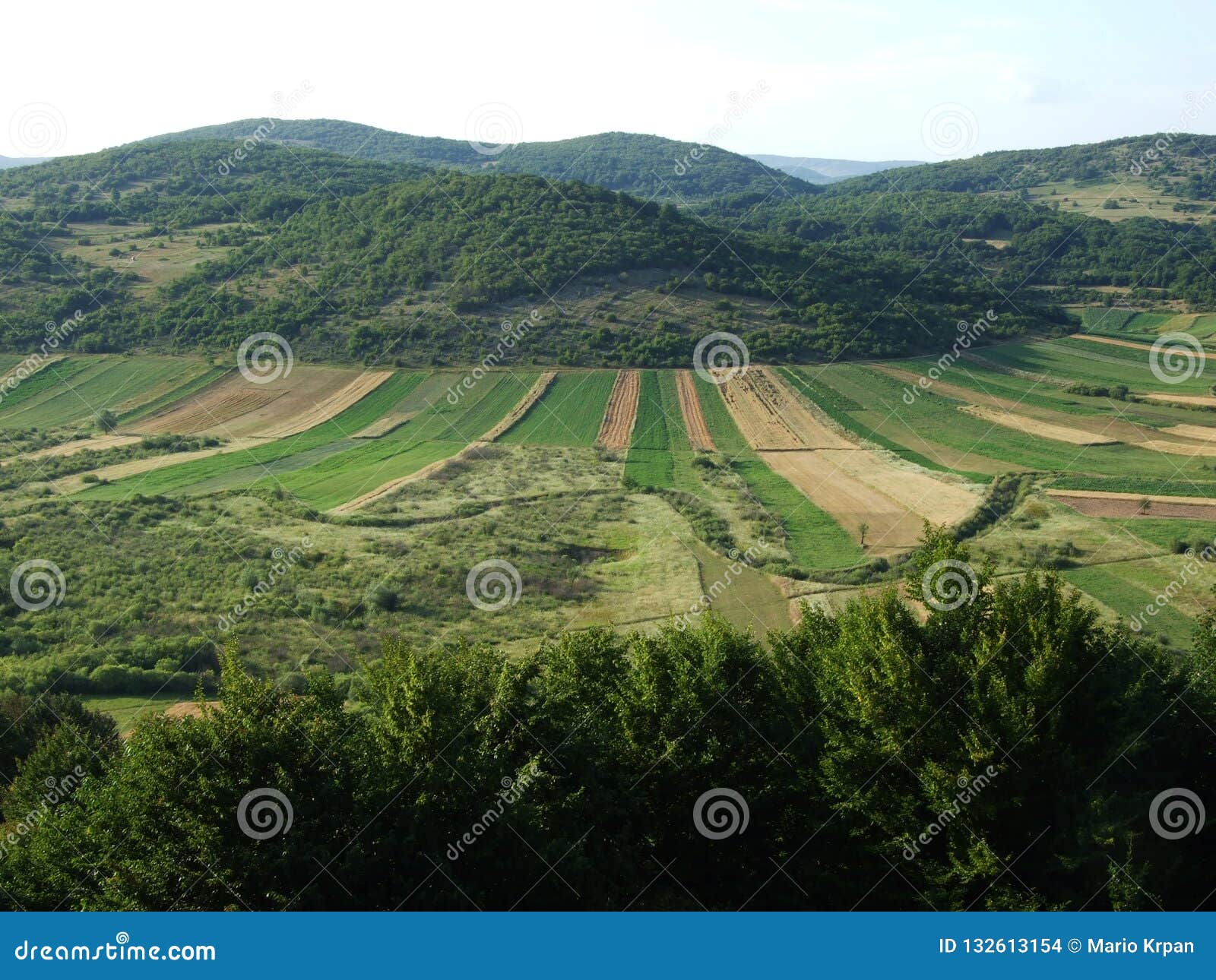 Panoramic View of the Farm Fields Stock Photo - Image of agriculture ...