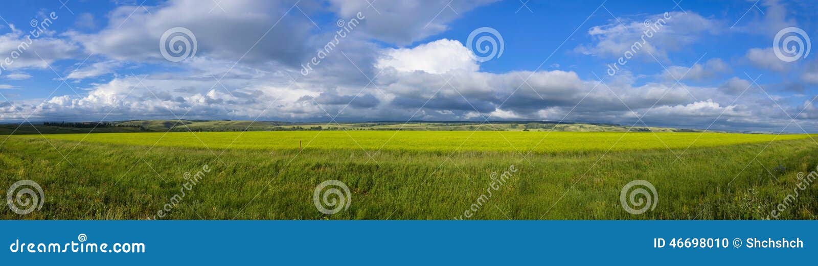Panoramic View of Field stock photo. Image of countryside - 46698010