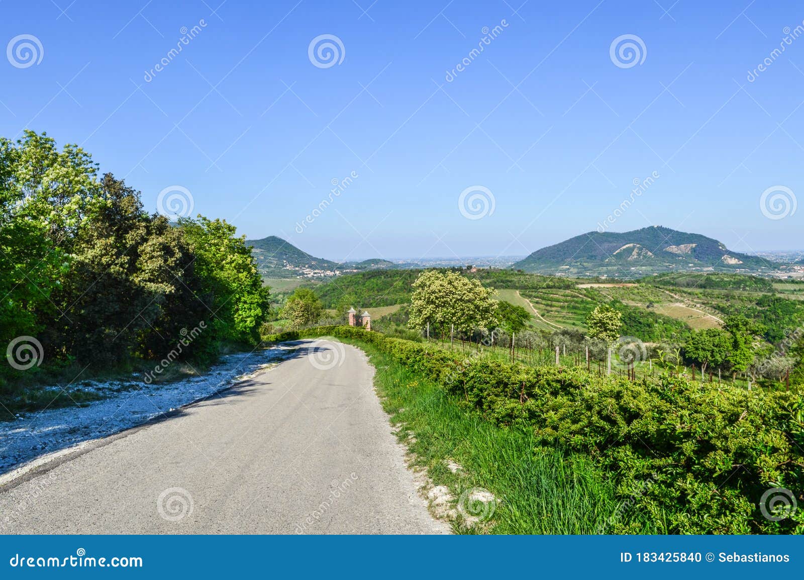 Panoramic View of the Fields and Vineyards on the Euganean Hills, Near ...