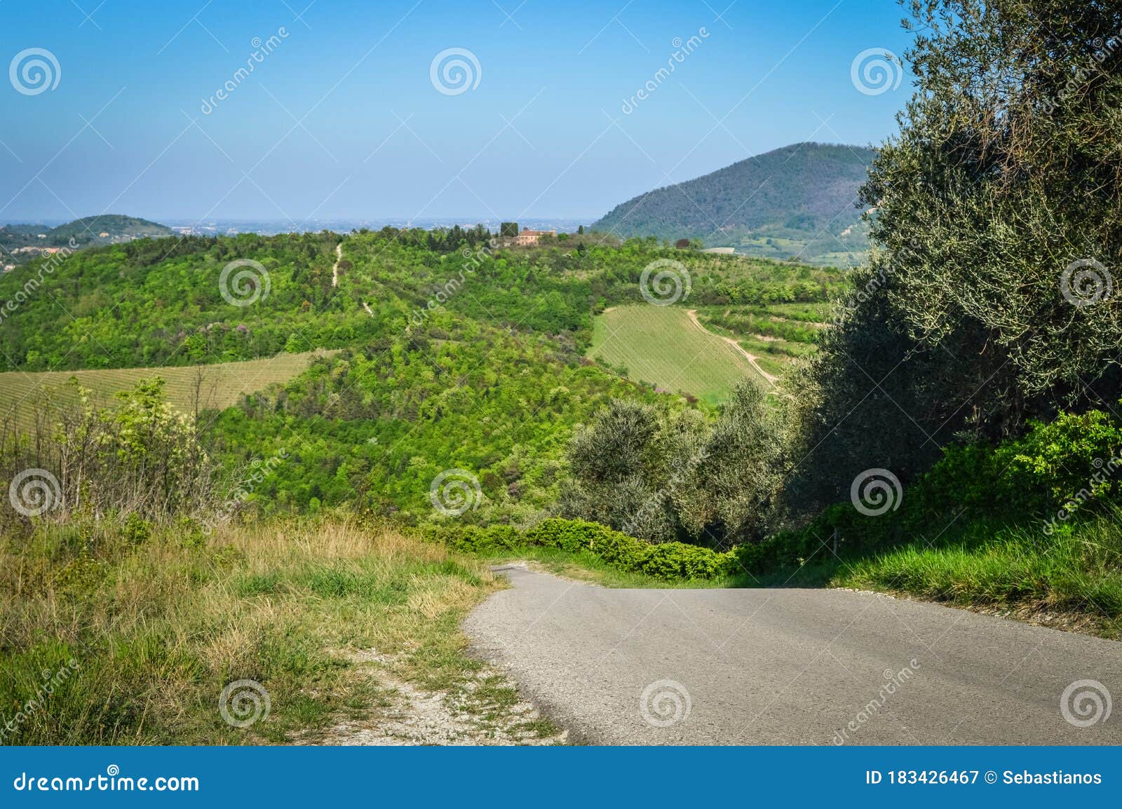 Panoramic View of the Fields and Vineyards on the Euganean Hills, Near ...