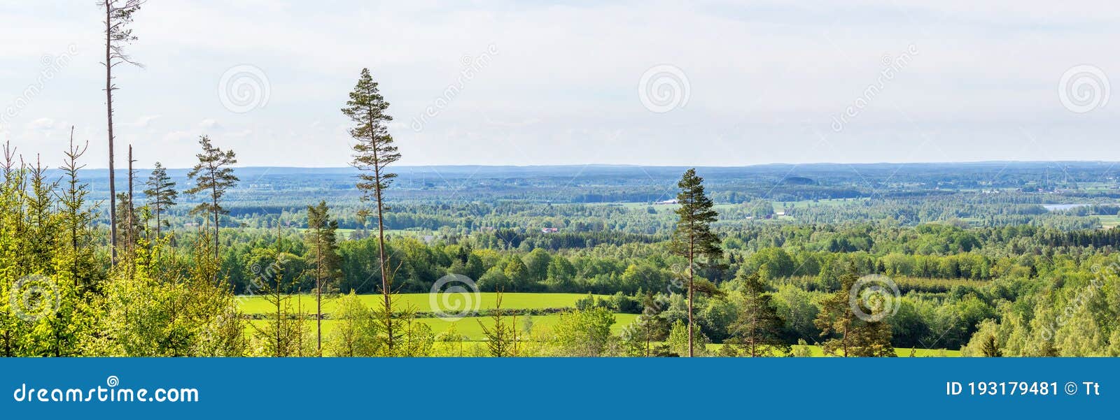 Panoramic View of Fields and Woods Towards the Horizon Stock Image ...