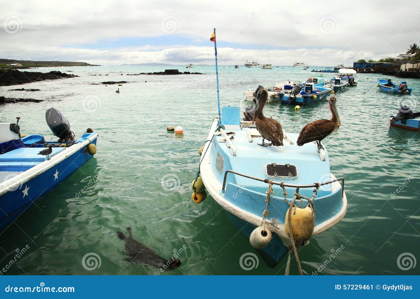 Panoramic View of Fishermen Dock Stock Image - Image of fishing ...