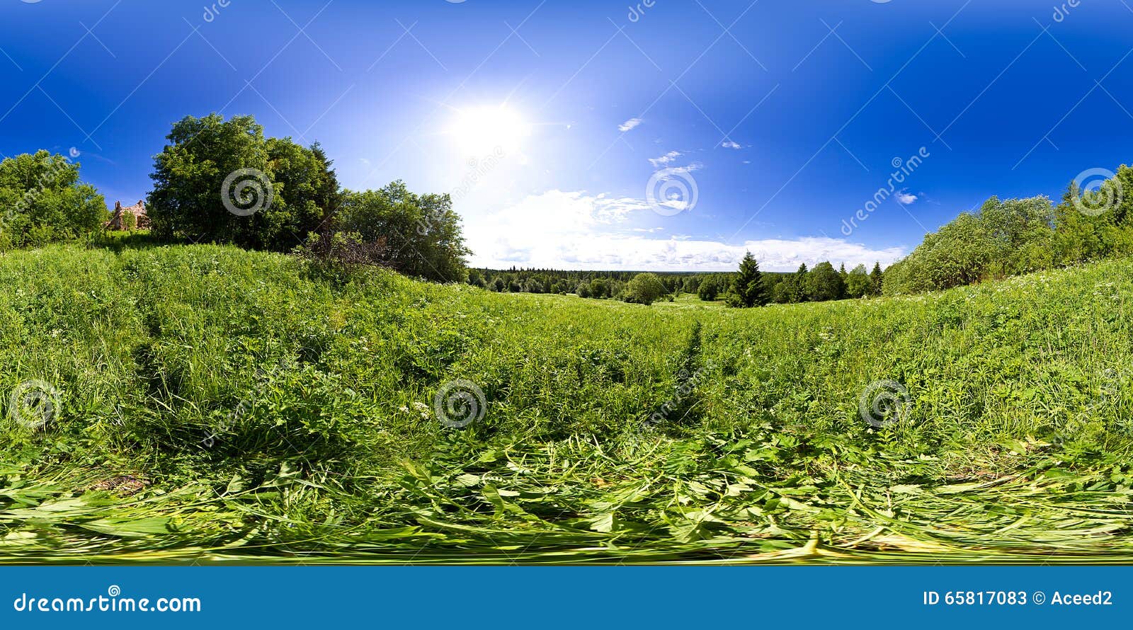 Panoramic View of the Forest Stock Image - Image of degree, hill: 65817083
