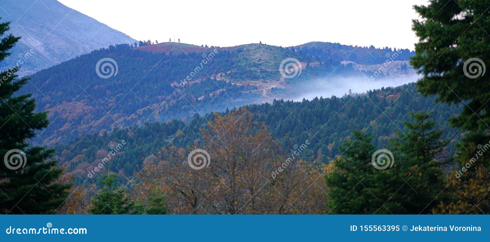Panoramic View of the Forest of Mount Dirfi in Euboea Stock Image ...
