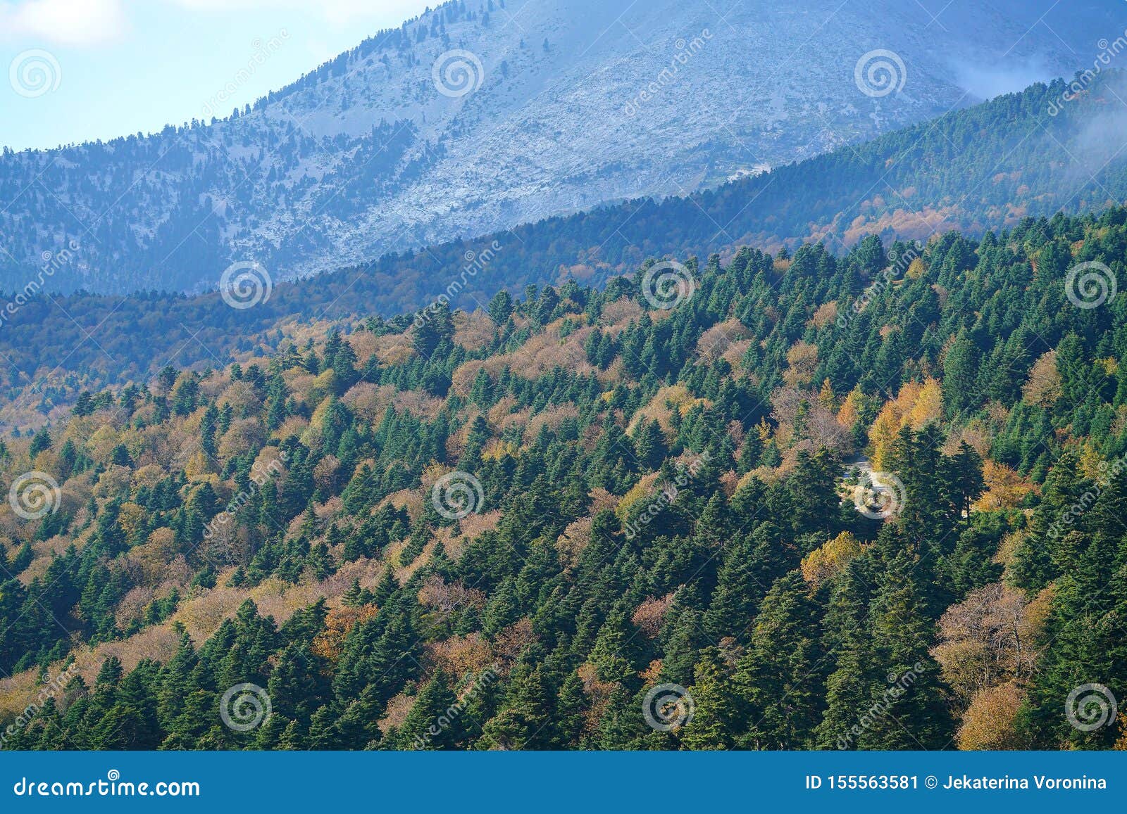 Panoramic View of the Forest of Mount Dirfi in Euboea Stock Image ...
