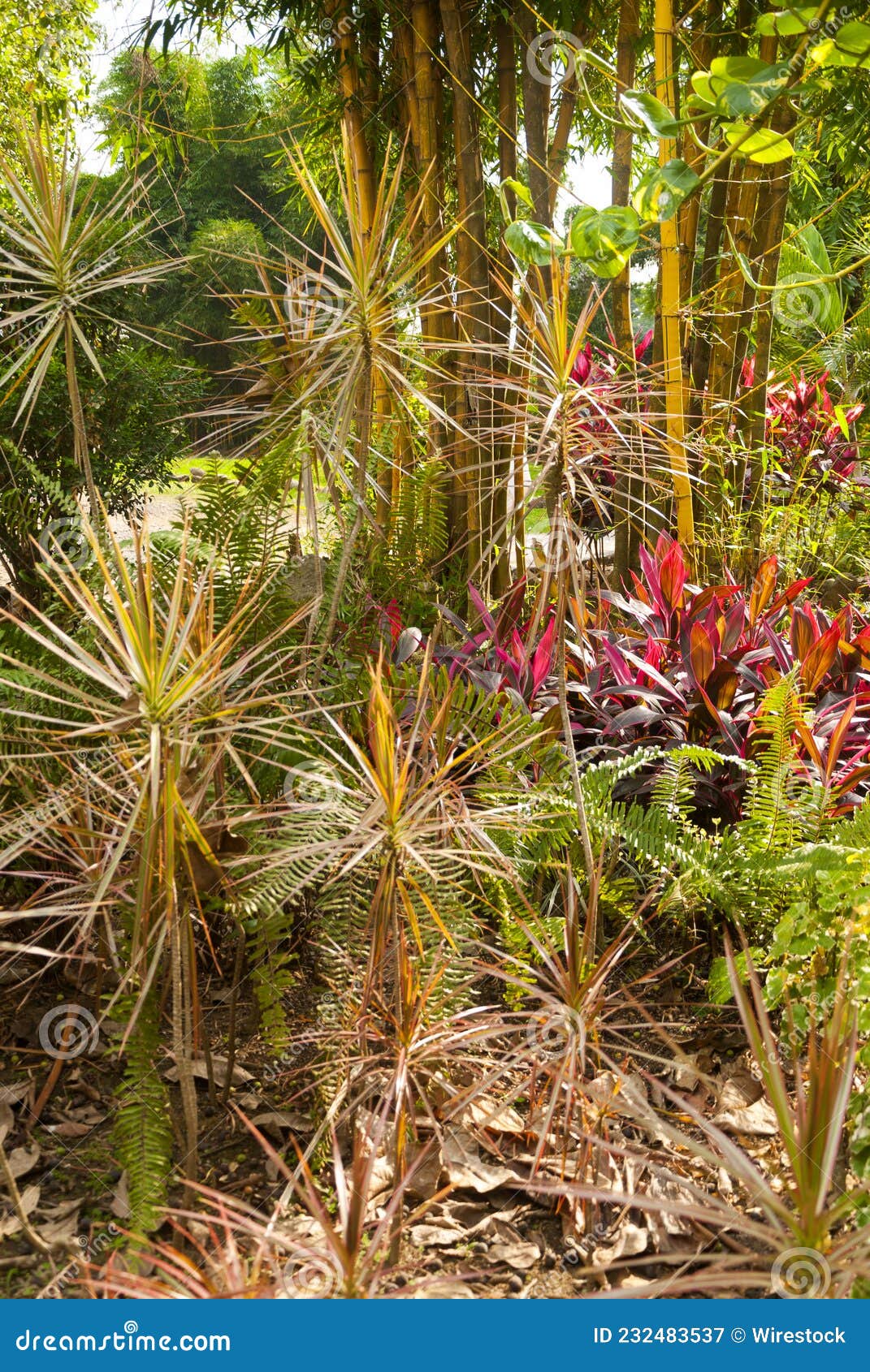Panoramic View of the Garden in Guatemala, Care and Commitment ...