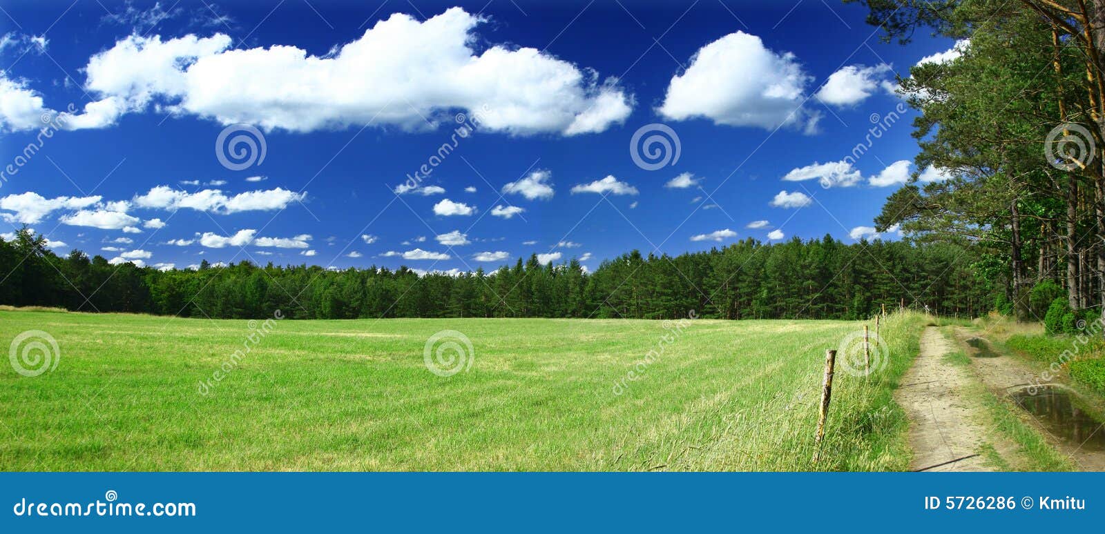 Panoramic View on Grass Field, Forest and a Path Stock Photo - Image of ...