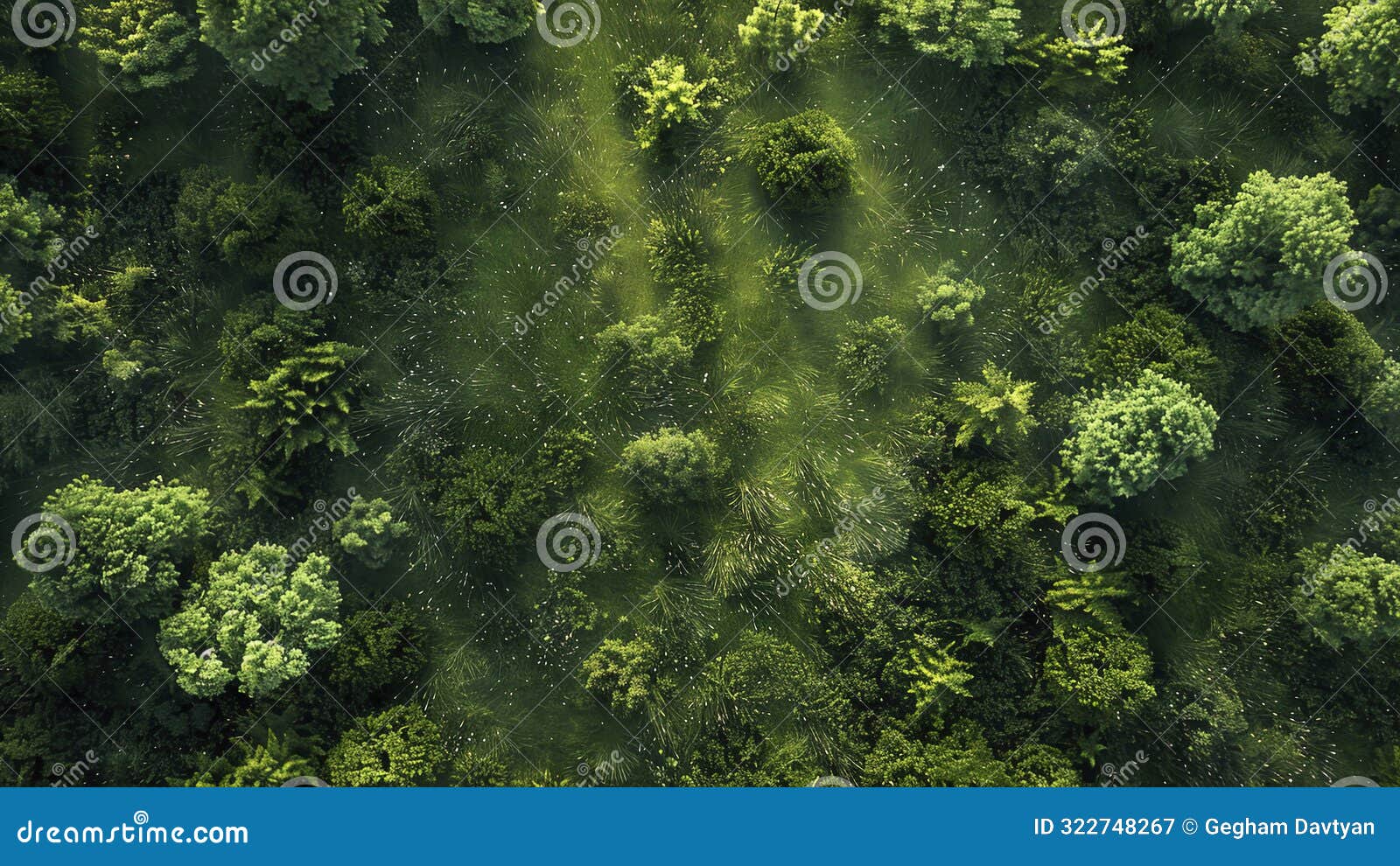 Panoramic View of a Green Landscape, Aerial View of a Green Landscape ...
