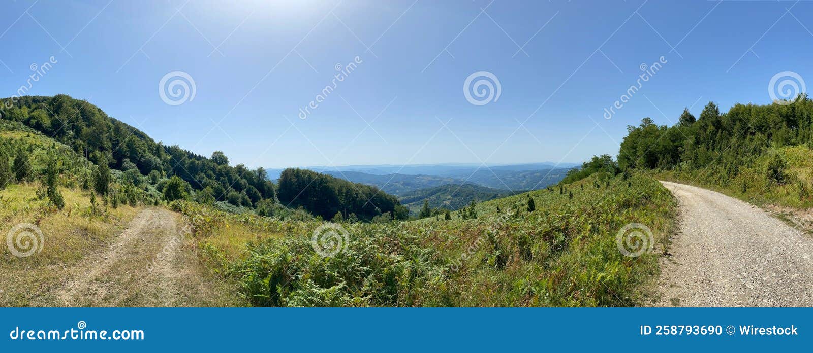 Panoramic View of Green Landscape in the Summer Countryside Stock Photo ...