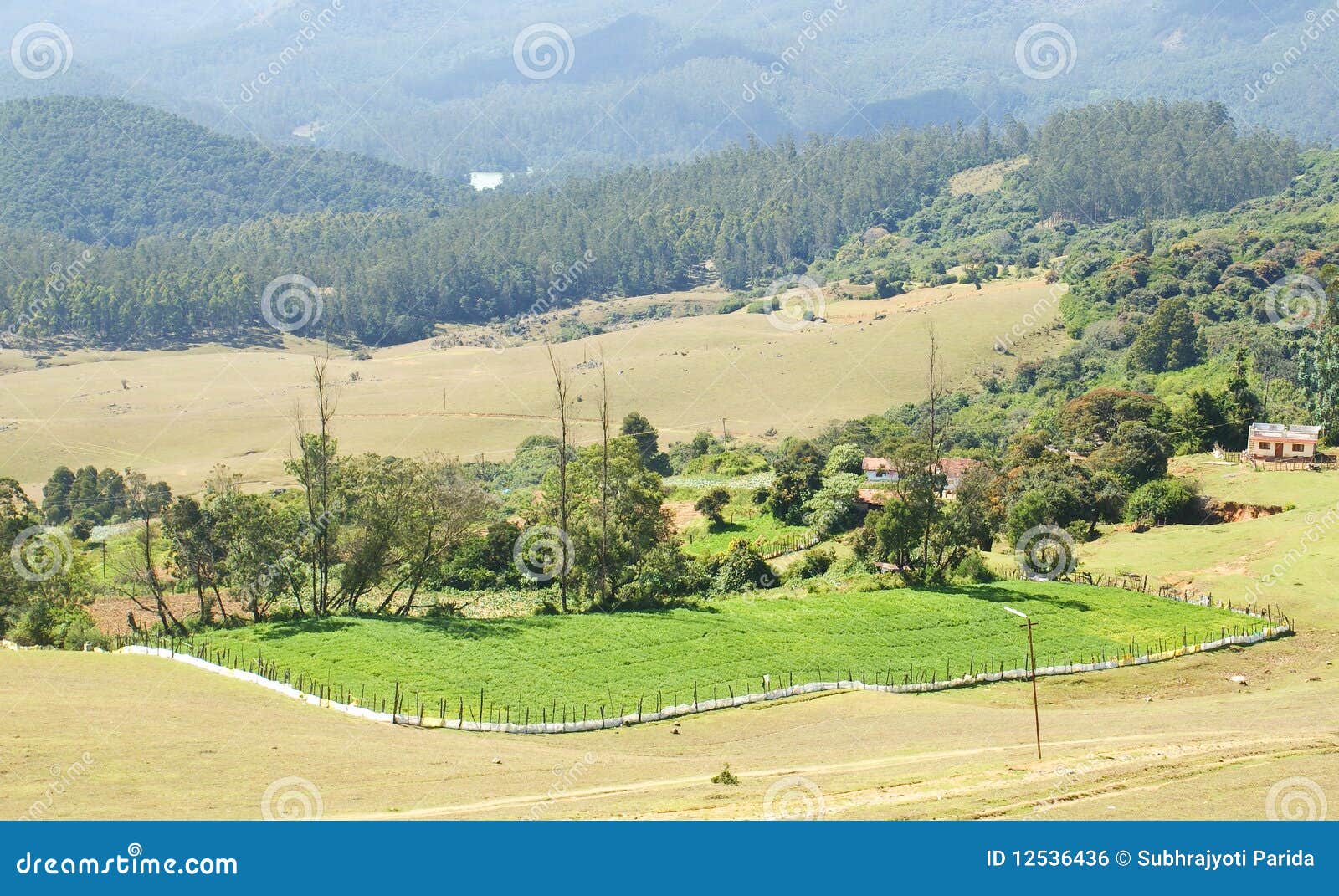 Panoramic View of Green Pasture Stock Photo - Image of pasture ...