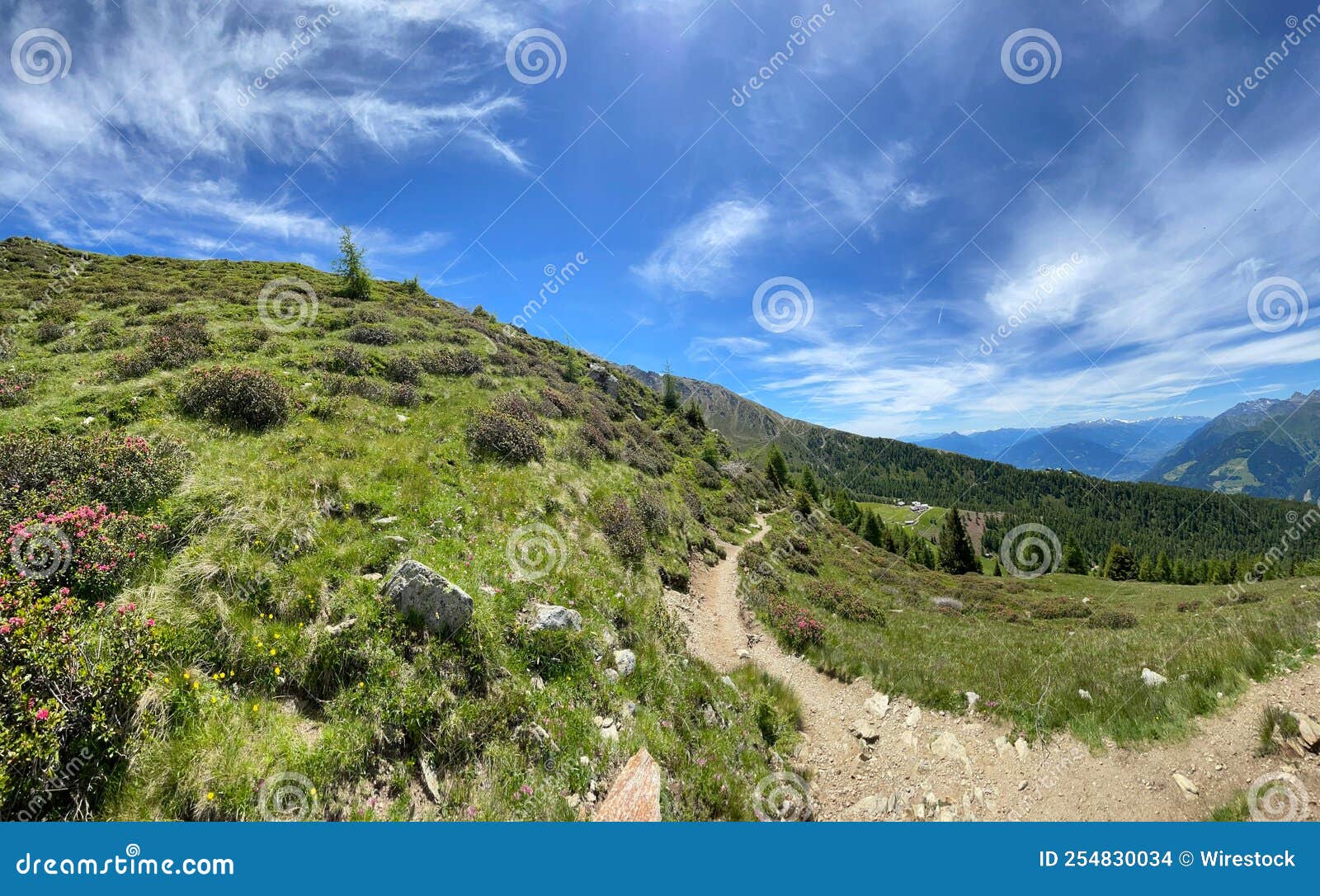 Panoramic View of Green Shrubs on a Slope of a Mountain Range Stock ...