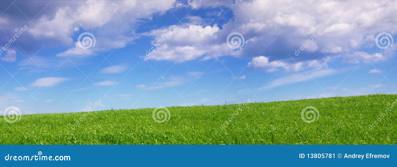 Panoramic View of Green Summer Fields Stock Image - Image of outdoors ...