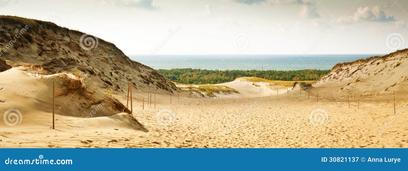 Panoramic View of the Grey Dunes at the Curonian Spit Stock Image ...