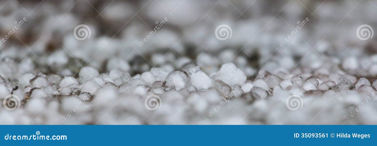 Panoramic view of hail stock image. Image of fear, leaf - 35093561