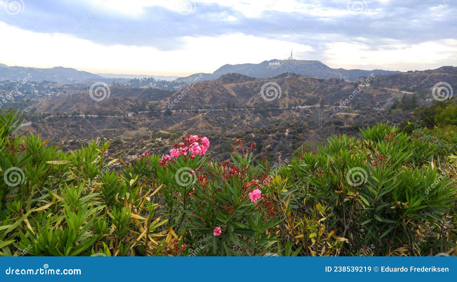 Panoramic View of the Hollywood Hills Surrounded by the Mountains ...