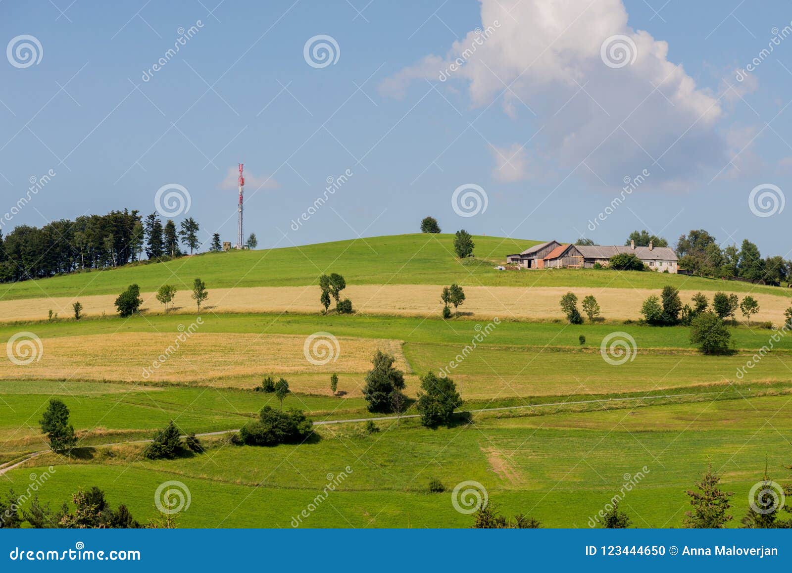 Panoramic View of Idyllic Landscape in Summer Stock Photo - Image of ...