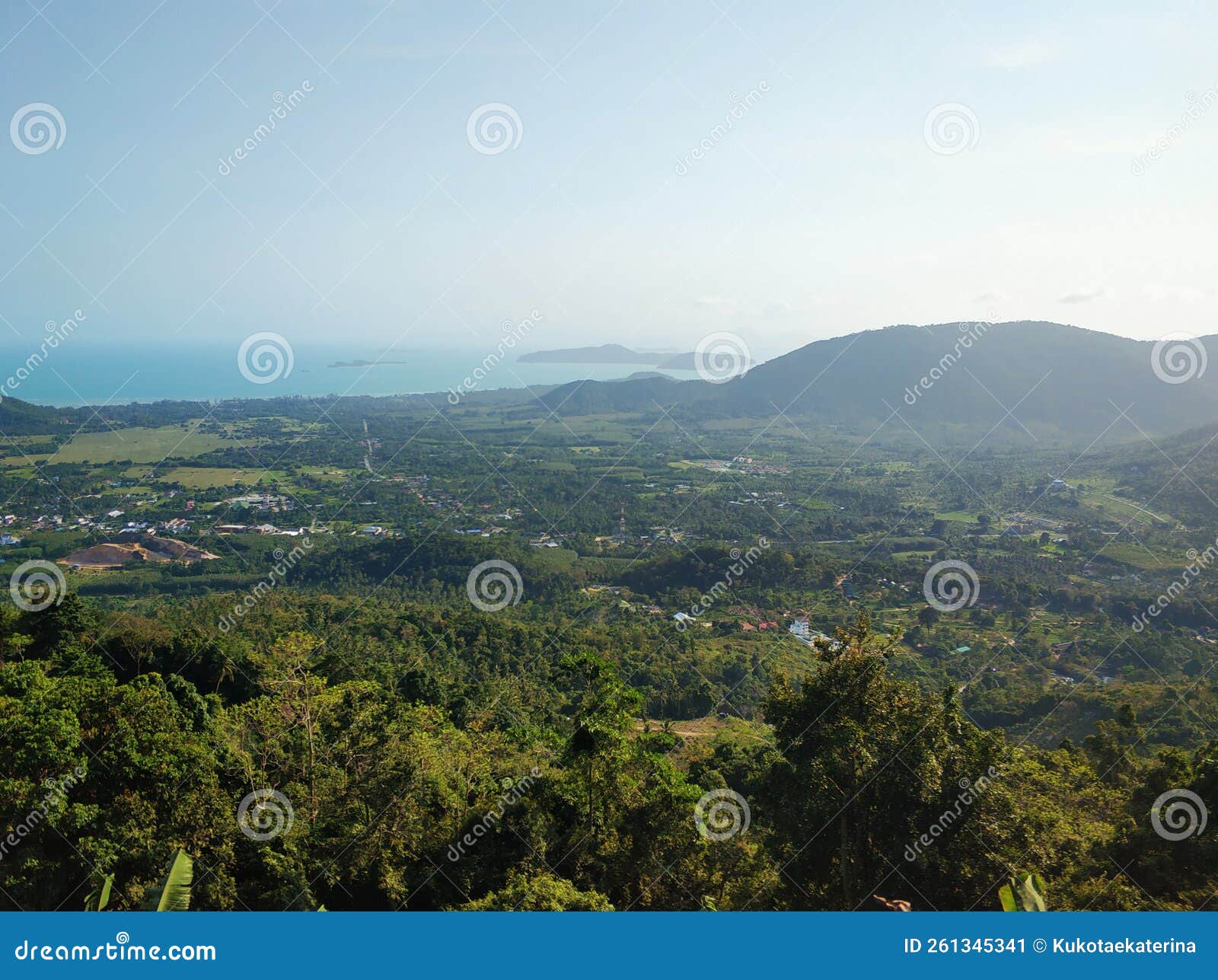 Panoramic View of the Jungle Valley on an Island in the Ocean Stock ...