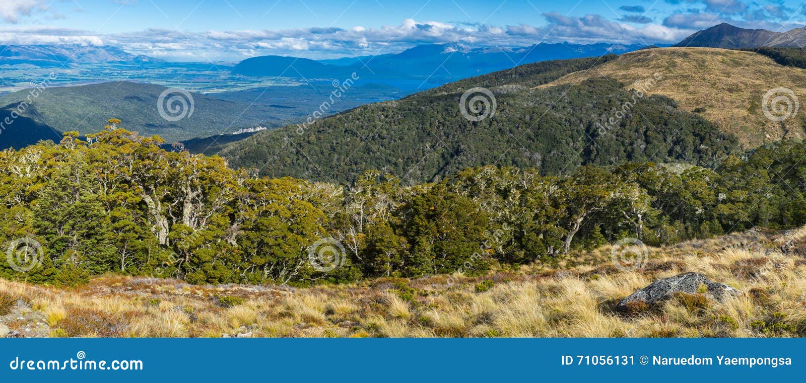 Panoramic View of Kepler Track Stock Image - Image of national, meadow ...