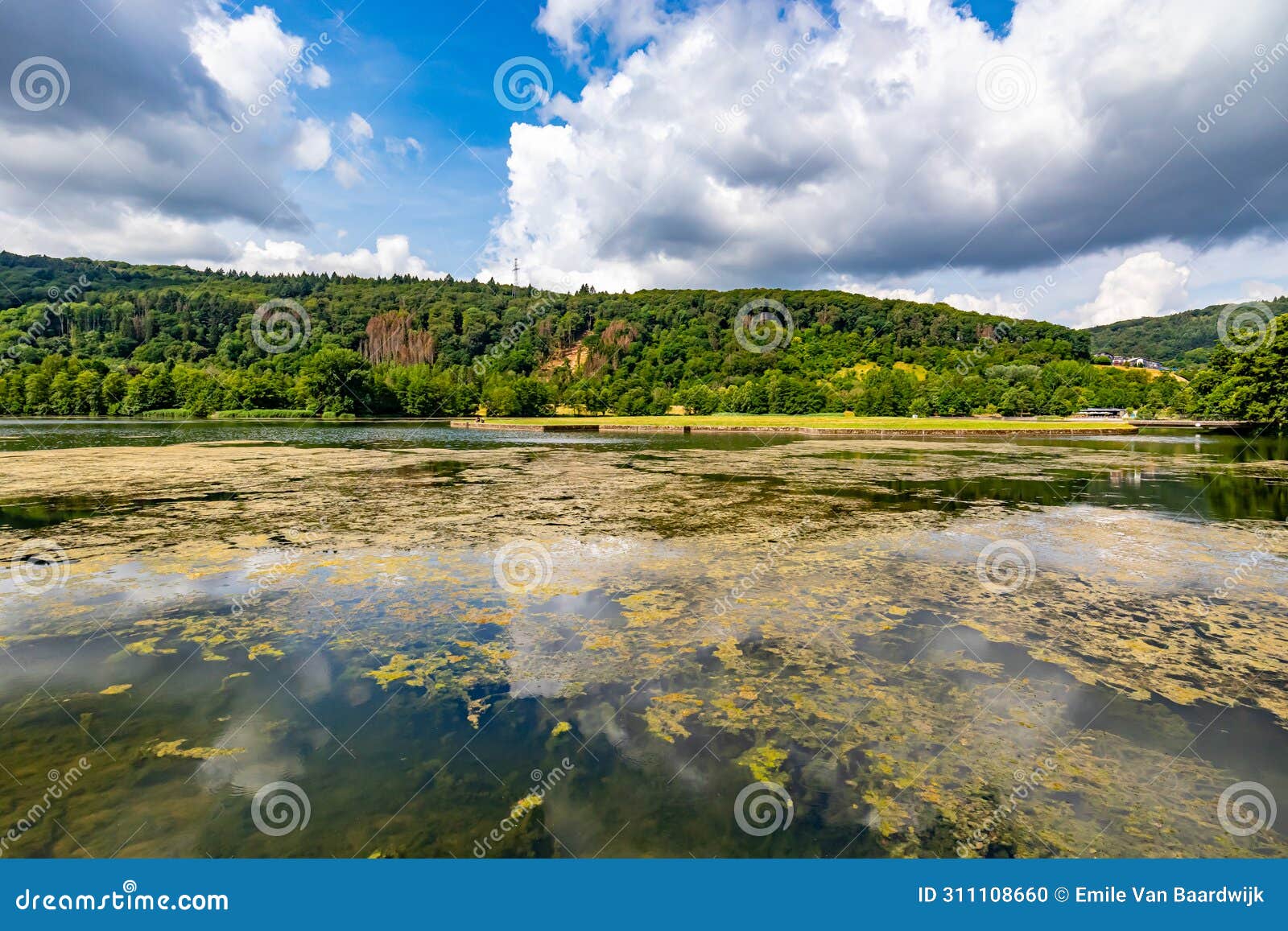 Panoramic View of Lake Echternach, Algae and Reflections on Water ...