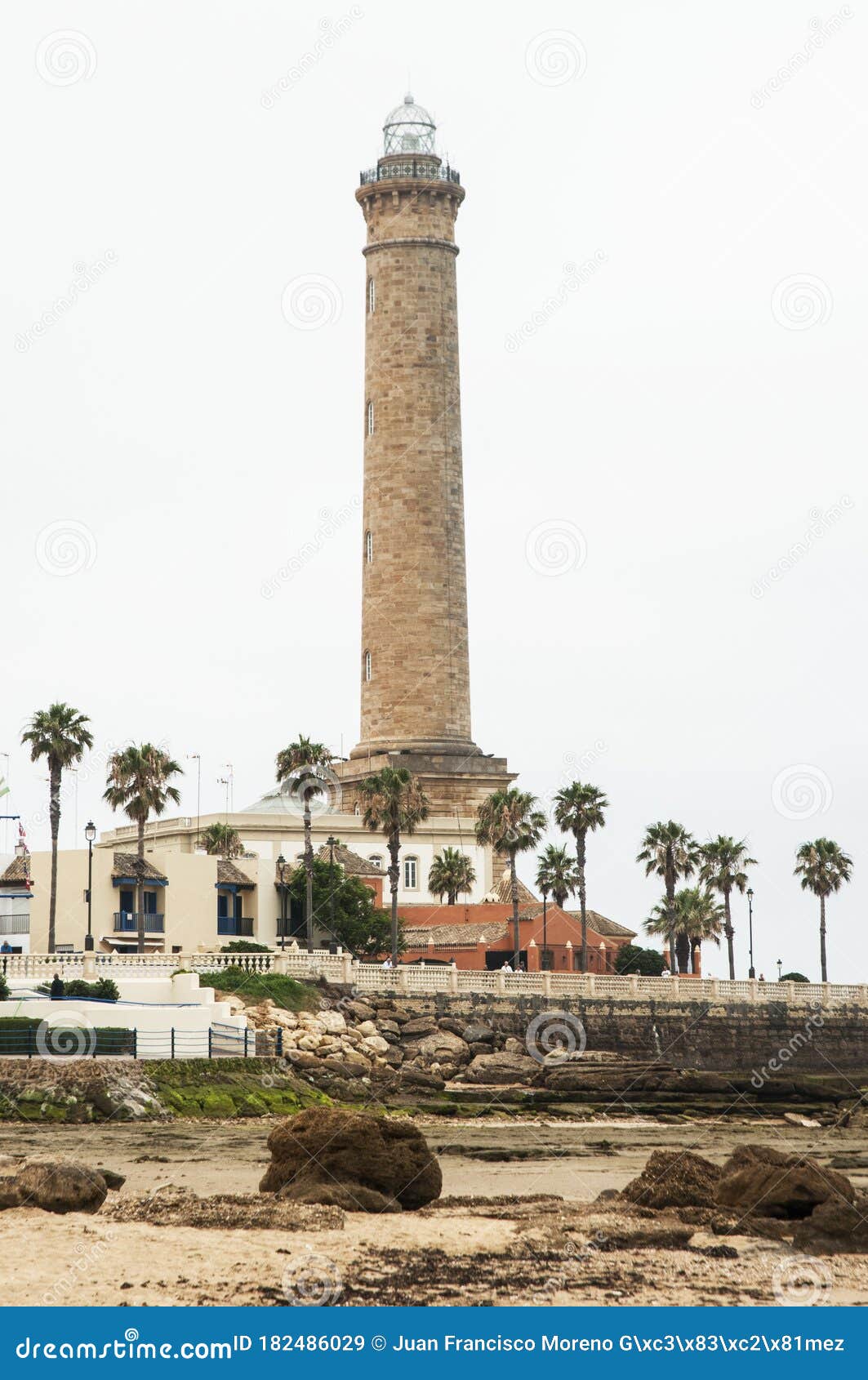 Panoramic View of the Lighthouse on Chipiona Beach Next To Palm Trees ...