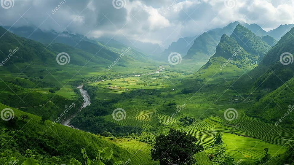 Panoramic View of a Lush Green Valley with a River Stock Photo - Image ...