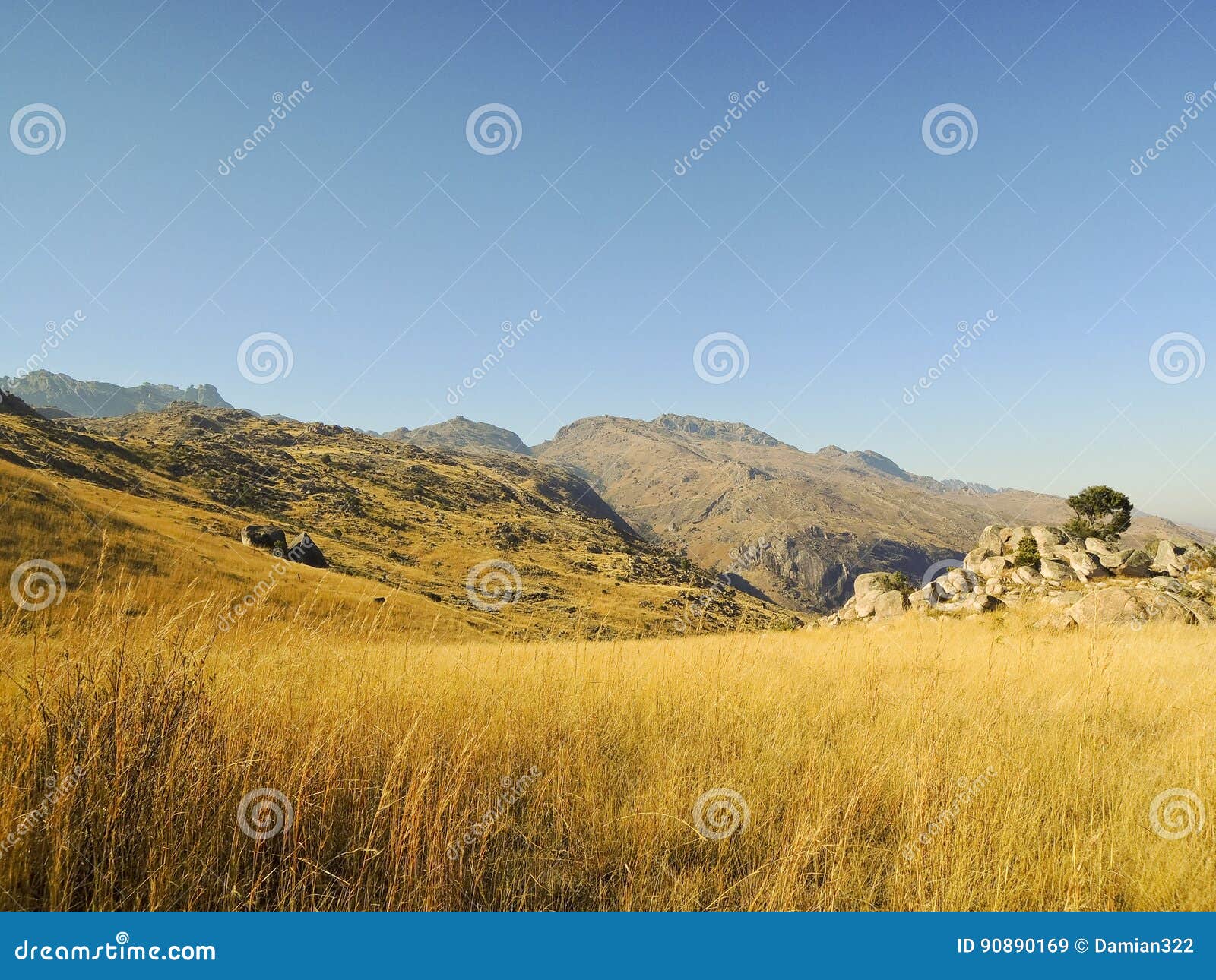Panoramic View of Madagascar Stock Image - Image of jungle, indigenous ...