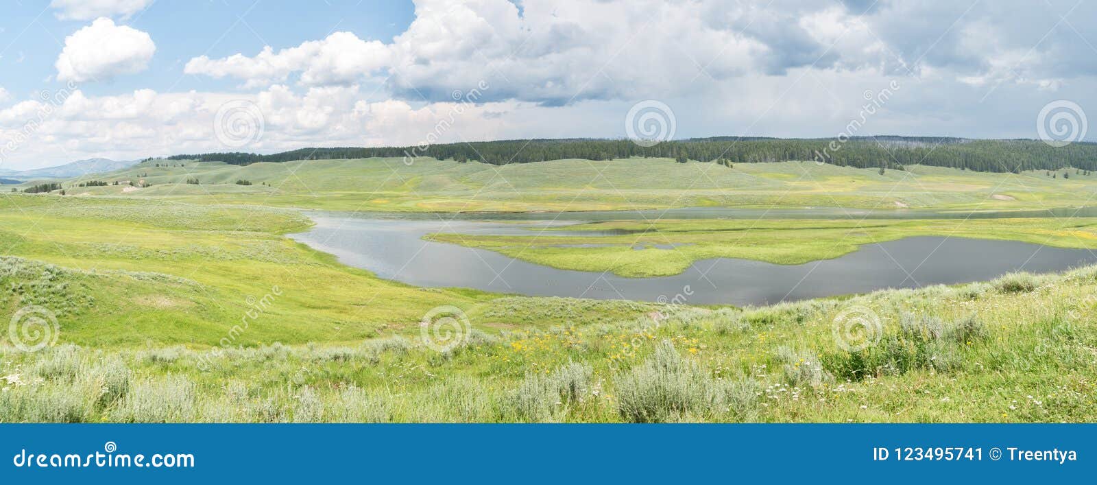 Panoramic View of Marshland Stock Image - Image of scenic, park: 123495741