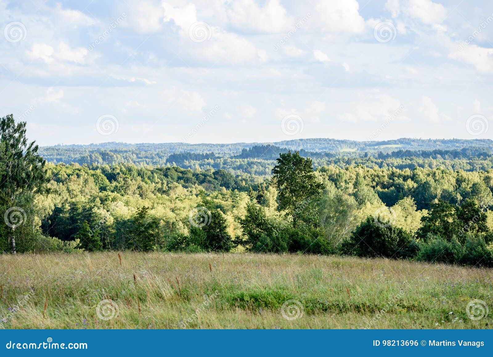 Panoramic View of Misty Forest. Far Horizon Stock Photo - Image of ...