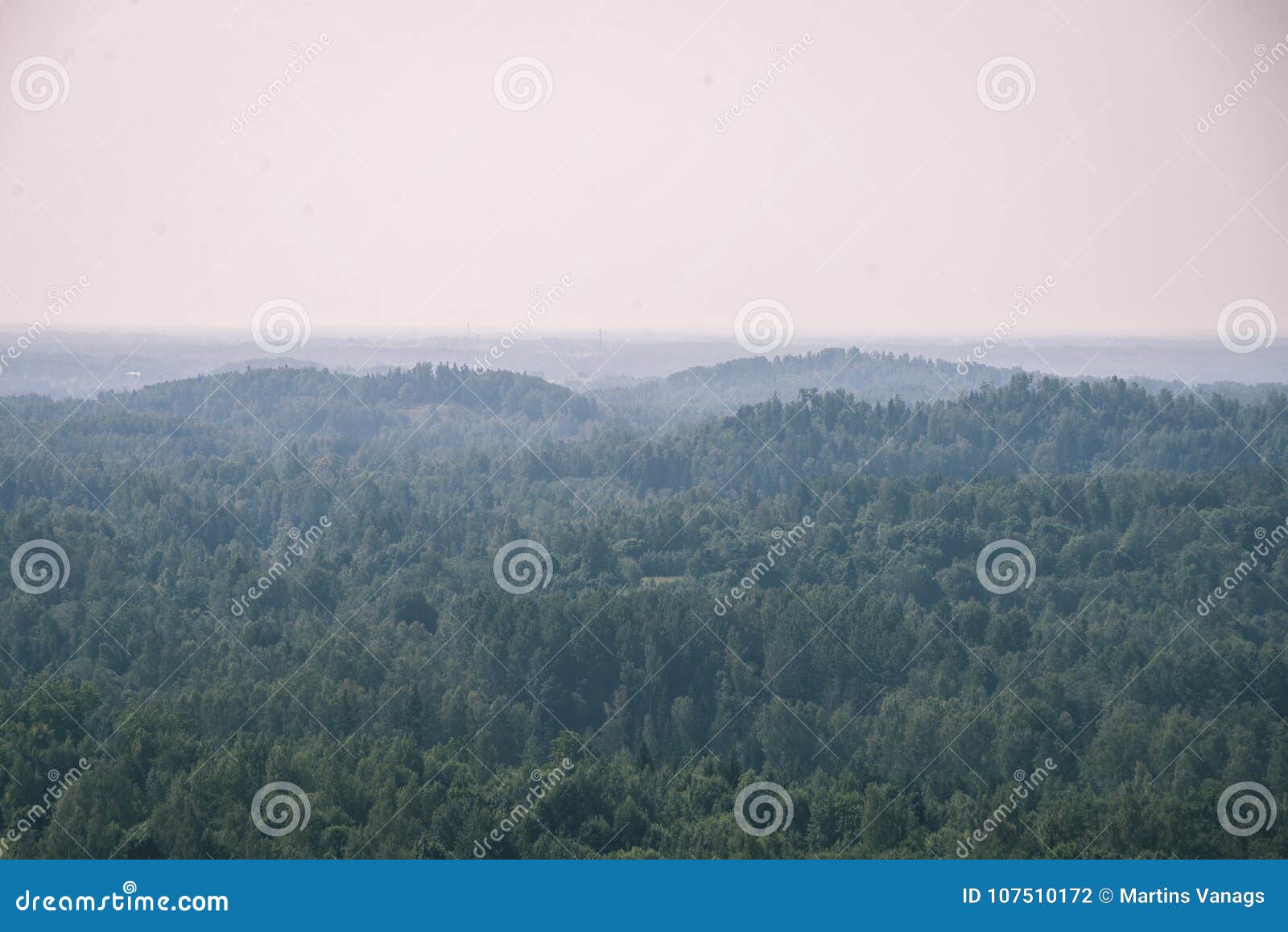 Panoramic View of Misty Forest. Far Horizon - Vintage Effect Stock ...