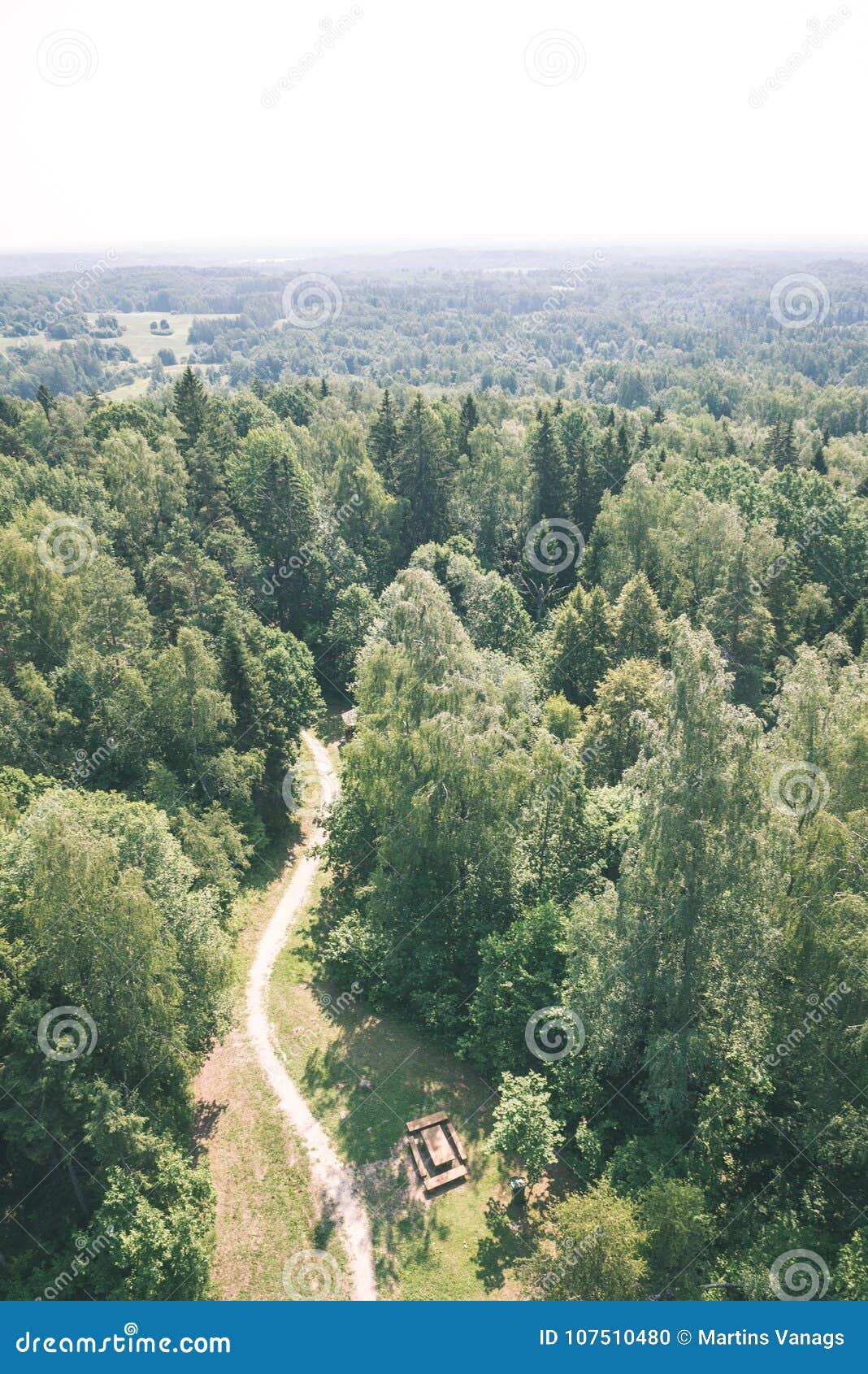 Panoramic View of Misty Forest. Far Horizon - Vintage Effect Stock ...