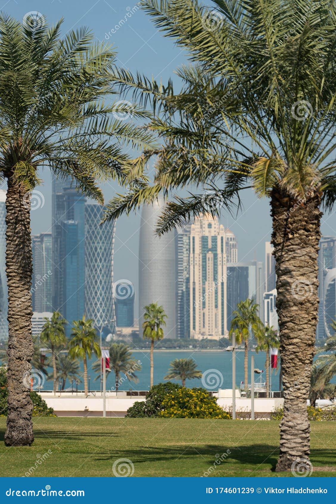 Panoramic View of Modern Skyline of Doha through Blurred Palm Trees ...