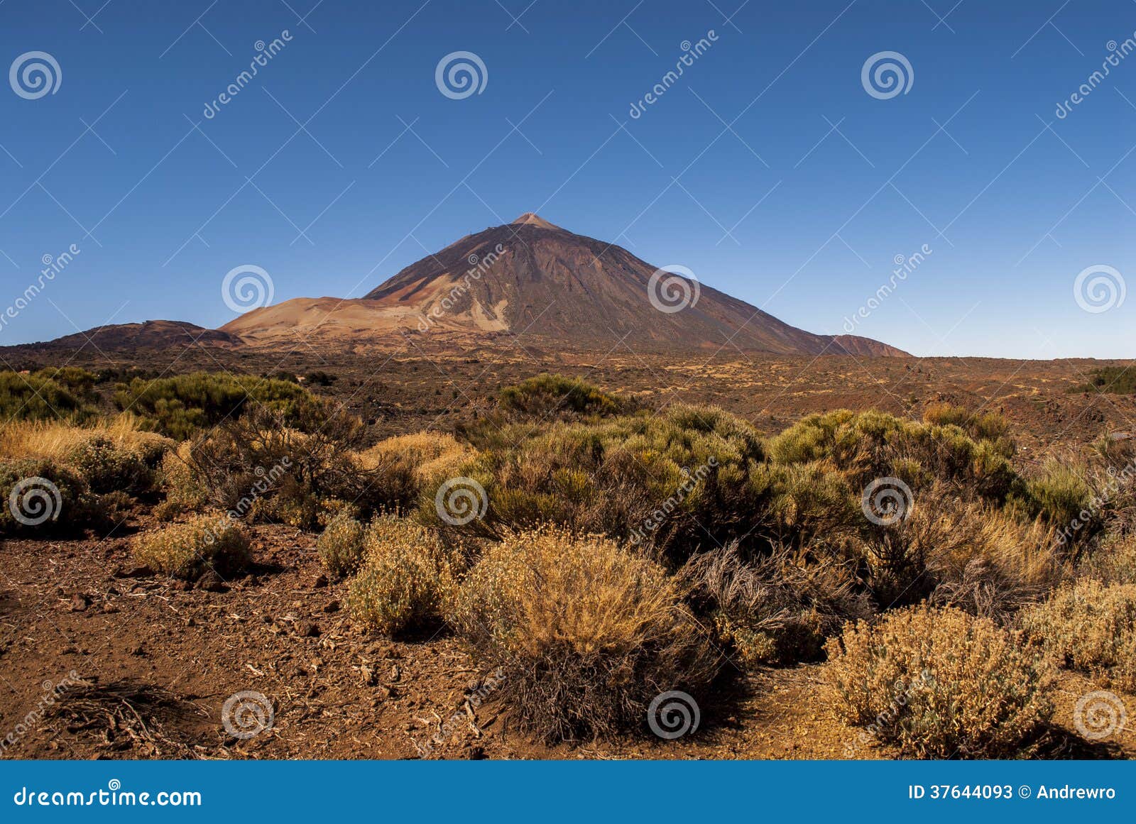 Panoramic View of Mount Teide Stock Image - Image of brown, canarias ...