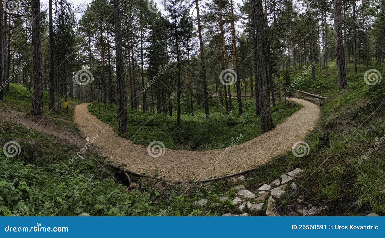 Panoramic View of Mountain Running Path Stock Image - Image of forest ...