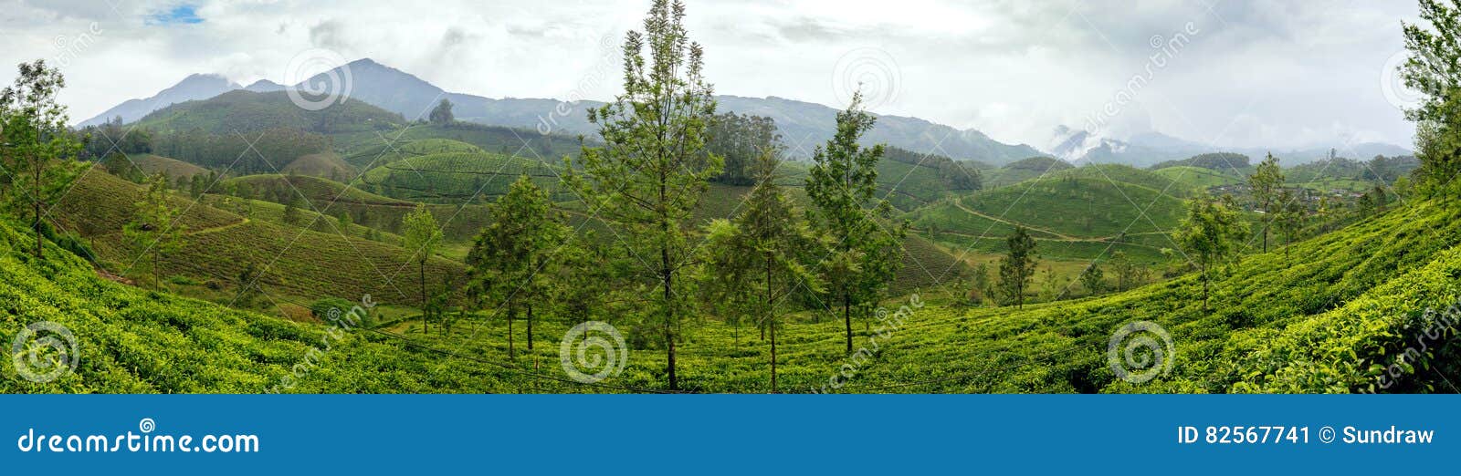 Panoramic View in Munnar in Western Ghats, Kerala Stock Image - Image ...