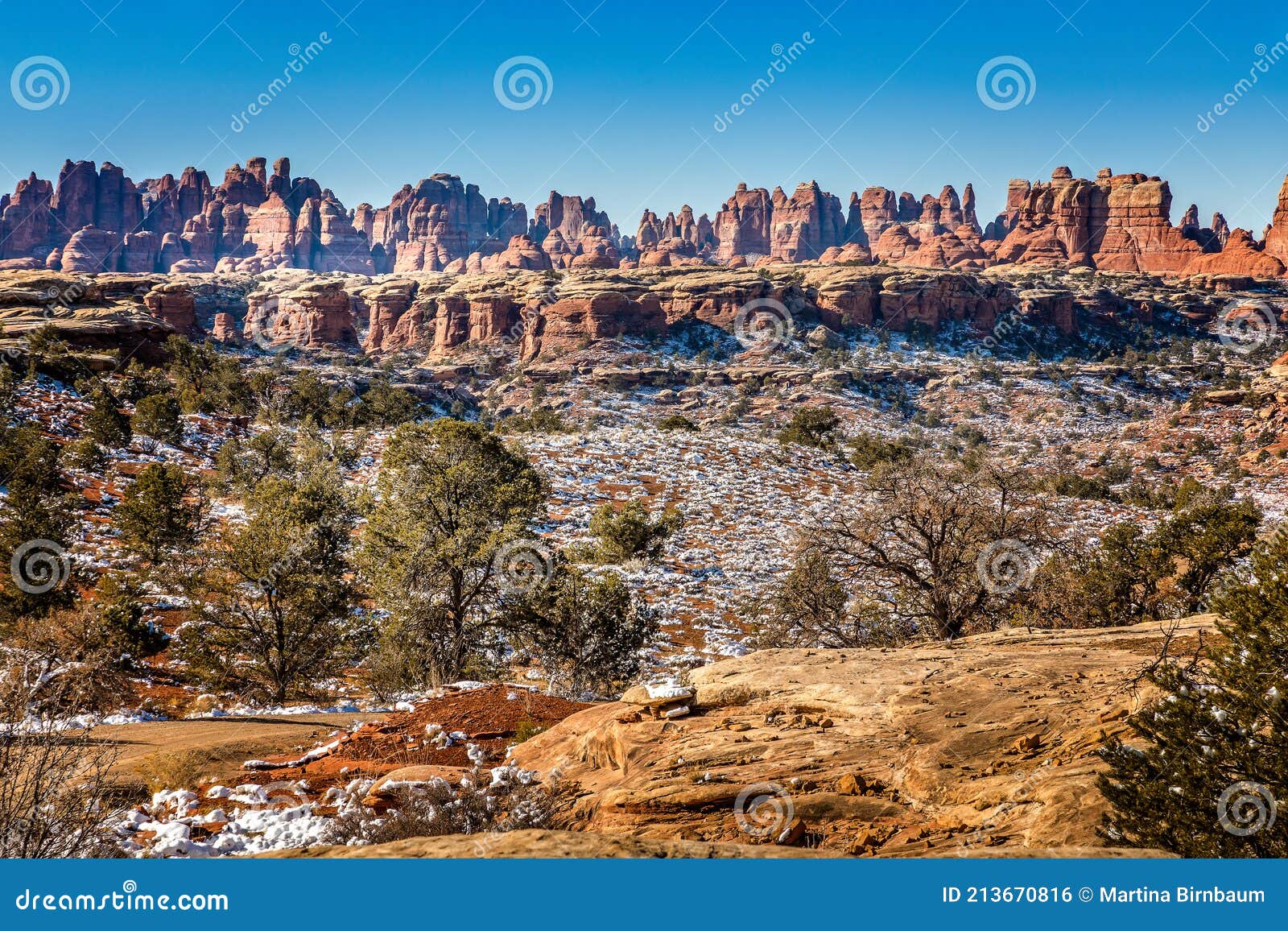 Panoramic View on the Needles District in the Canyonlands National Park ...
