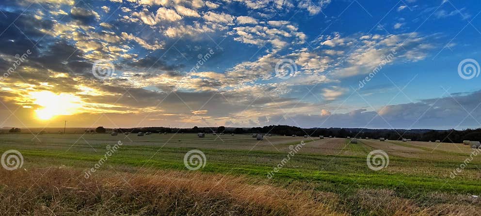 Panoramic View of an Open Field with a Tree Line Visible on the Horizon ...