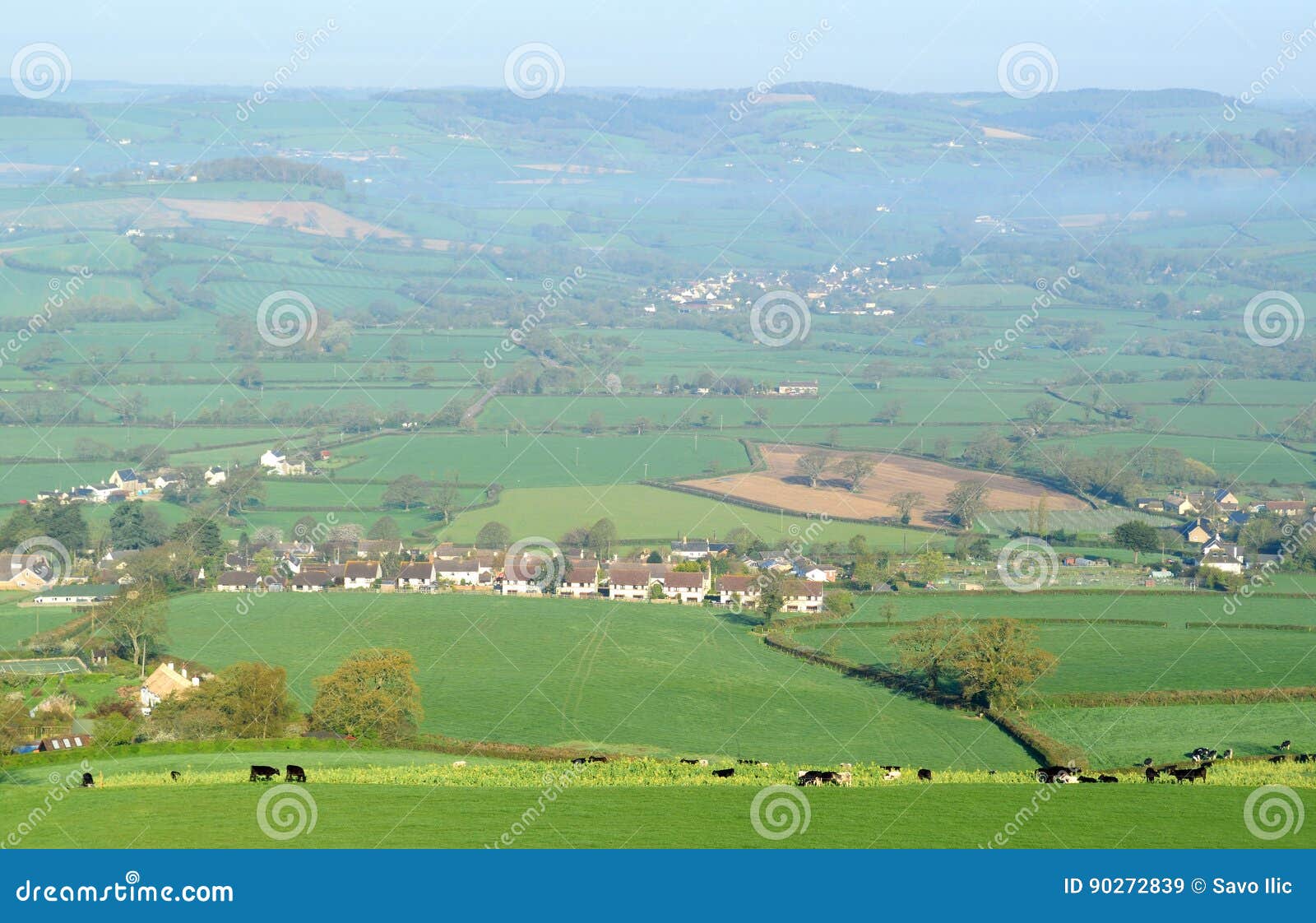 Panoramic View Over Axe Valley Stock Image - Image of england ...