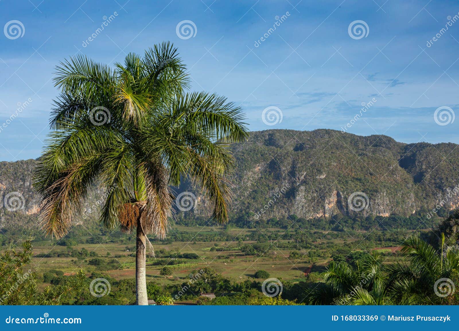 Panoramic View Over Landscape with Mogotes in Vinales Valley, Cuba ...