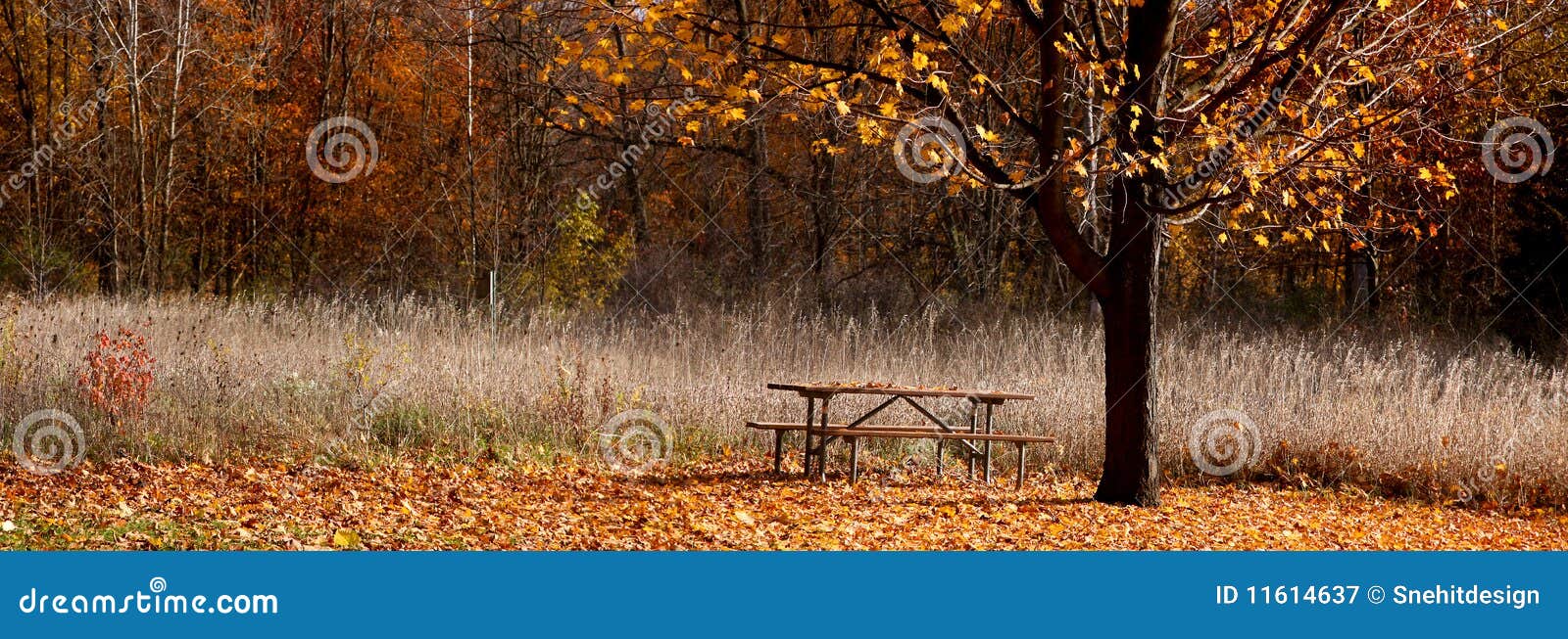 Panoramic view of park stock image. Image of panoramic - 11614637