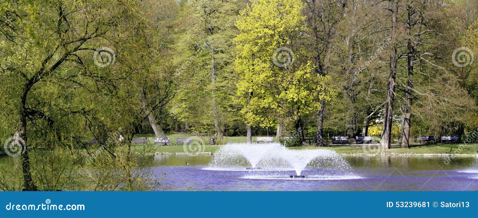 Panoramic view on park stock image. Image of tree, panoramic - 53239681