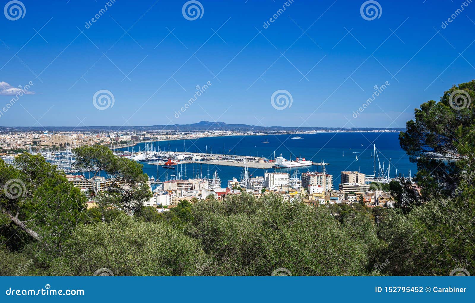 Panoramic View of the Port of Palma De Mallorca Stock Photo - Image of ...