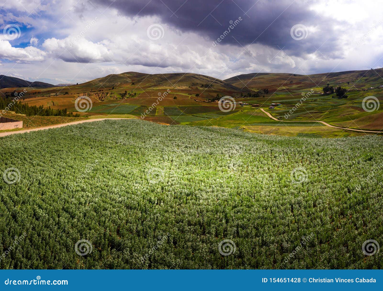 Potato Fields in the Highlands of Peru Stock Photo - Image of culture ...