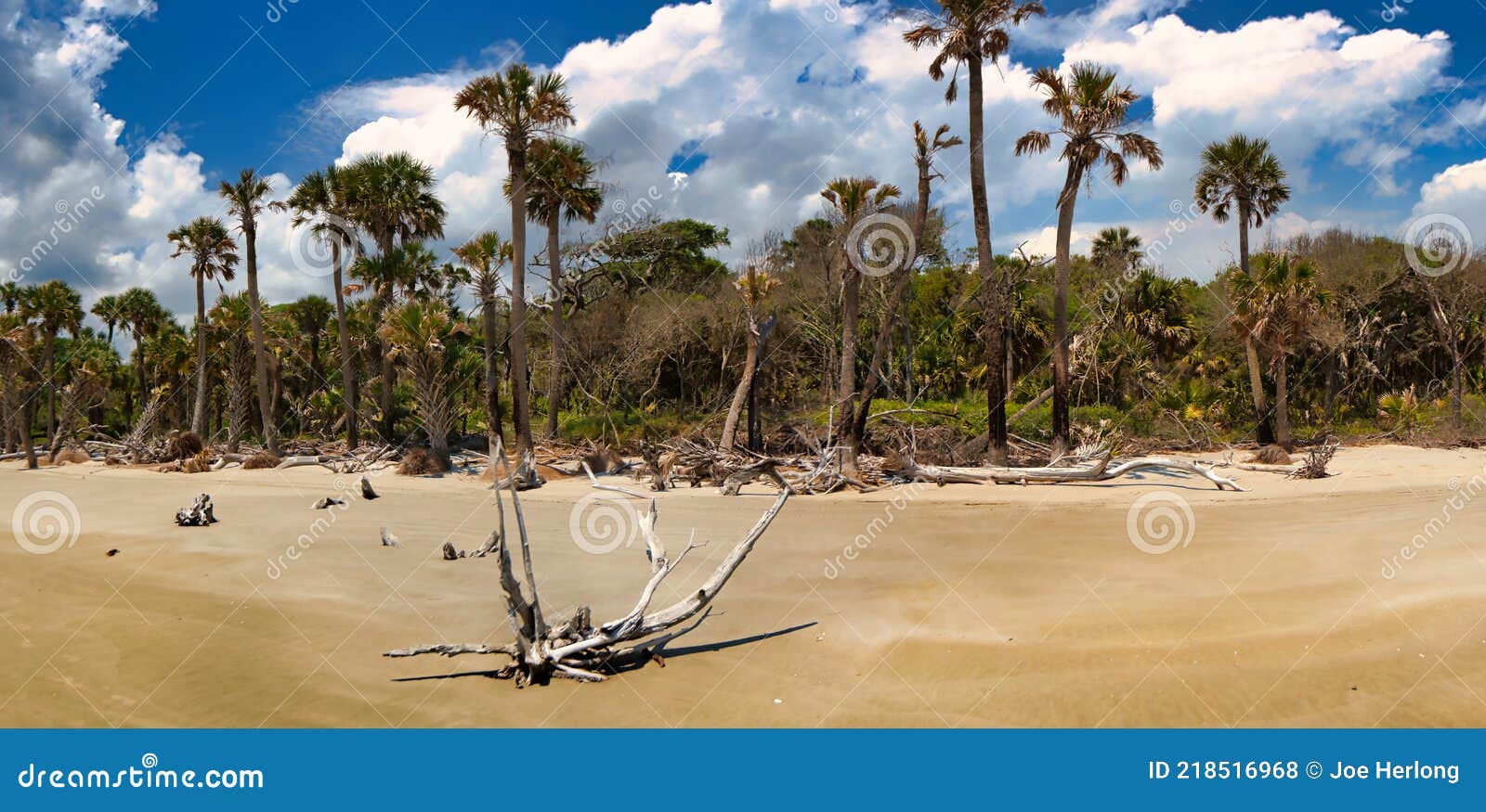 A Panoramic View of a Pristine Undeveloped Beach on a Barrier Island ...